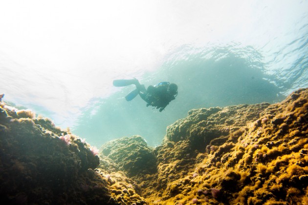 Tauchen auf Elba - Aquanautic Elba – Ihre Tauchschule auf Elba im ...